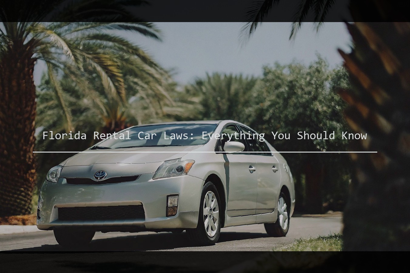 Florida Rental Car Laws: Everything You Should Know - Territory Law